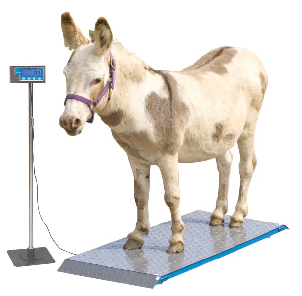 Balance pour animaux,Étable et ... - Kerbl France